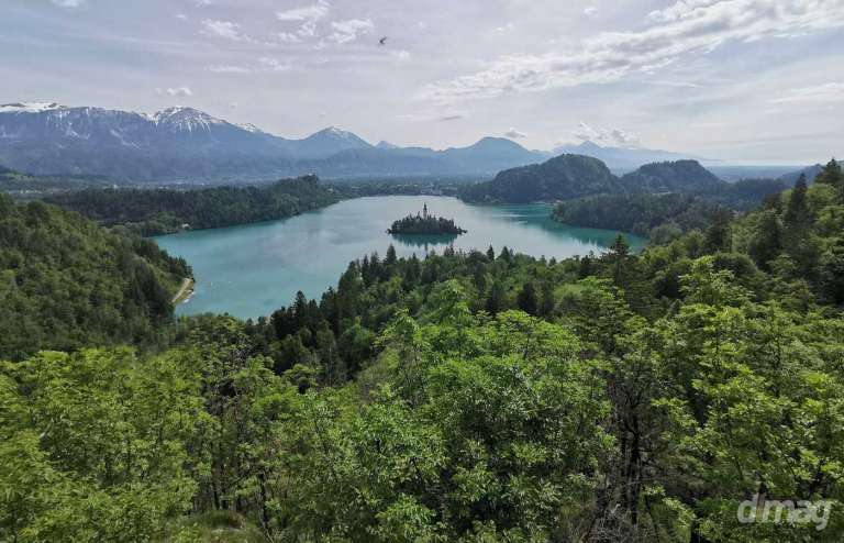 Lake Bled Cream Cake – a fairytale confection and why you need to taste ...