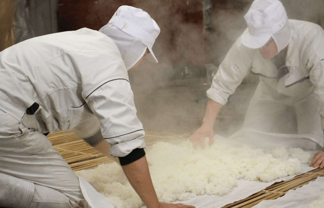 Sake: A beginner’s guide to Japanese rice wine - Daily Luxury