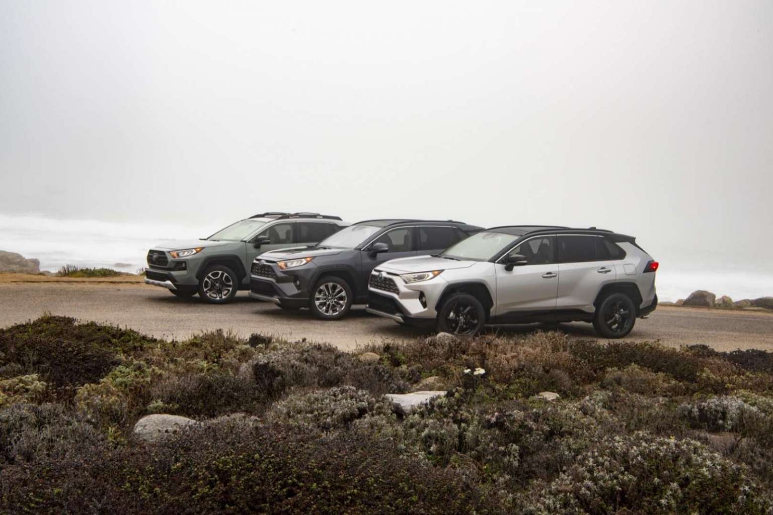 Toyota RAV4 is crowned Japan Car of the Year 2019 - Daily Luxury