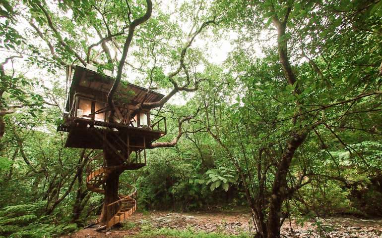 Sustainable luxury hotels opening in 2021 - Daily Luxury