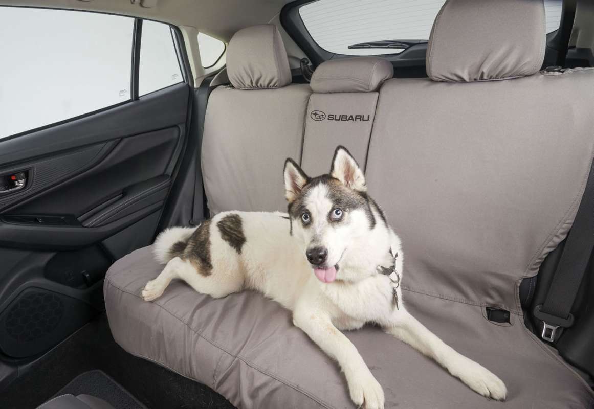 Pet-friendly Subaru launches a new of pet accessories - Daily Luxury