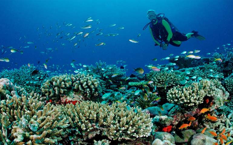 Five fun and frolic things to do in Maldives - Daily Luxury